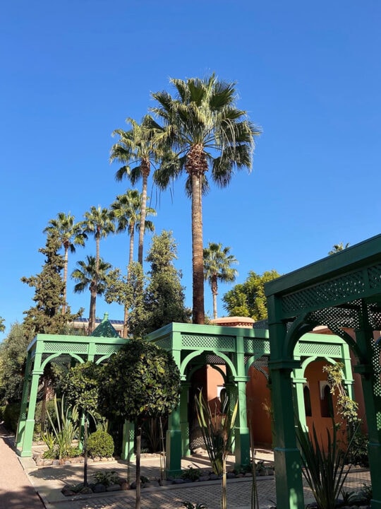 The green side of the city: The Gardens of Marrakech - NOSADE