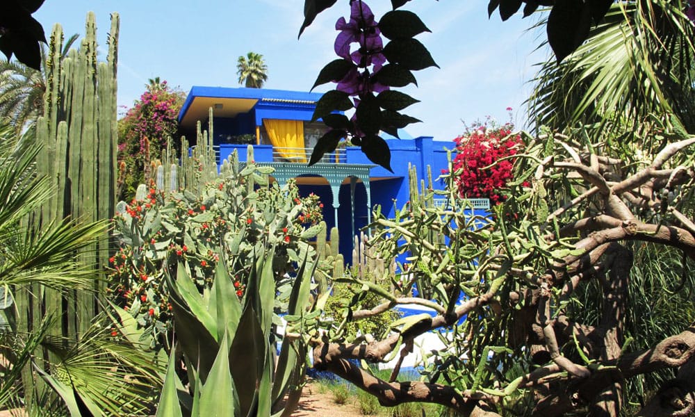 The green side of the city: The Gardens of Marrakech - NOSADE